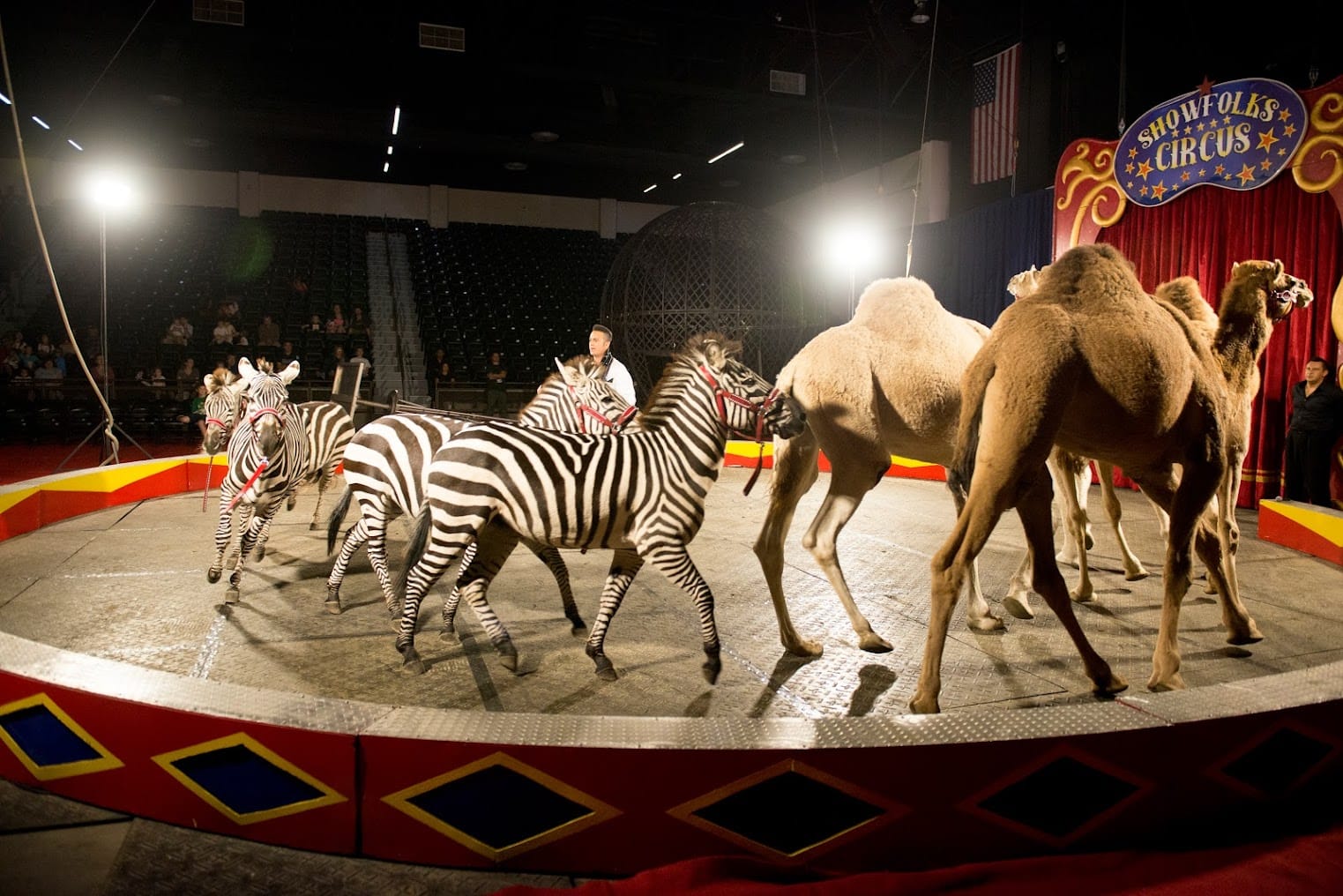shrine circus 2026 schedule