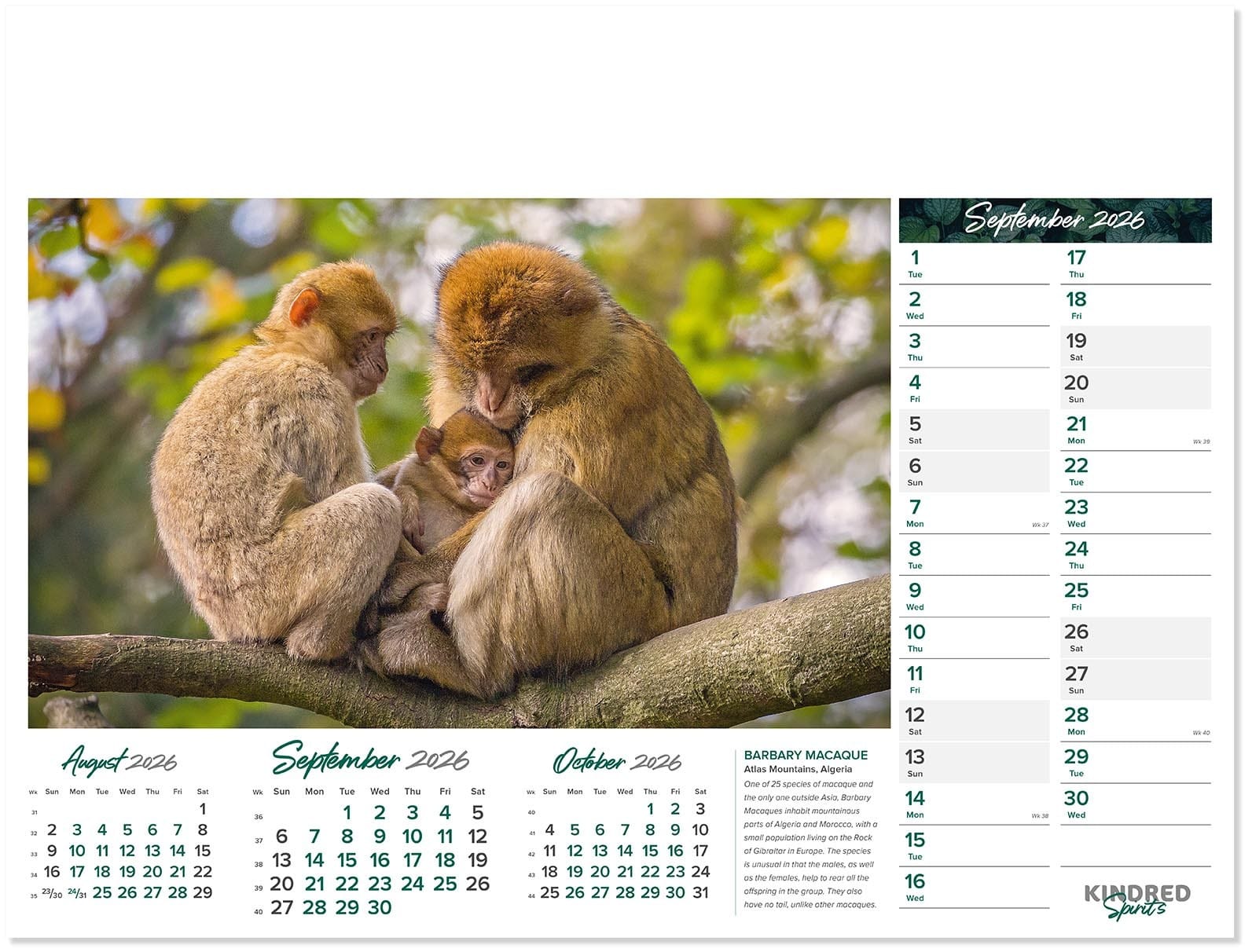 kindred spirits 2026 schedule